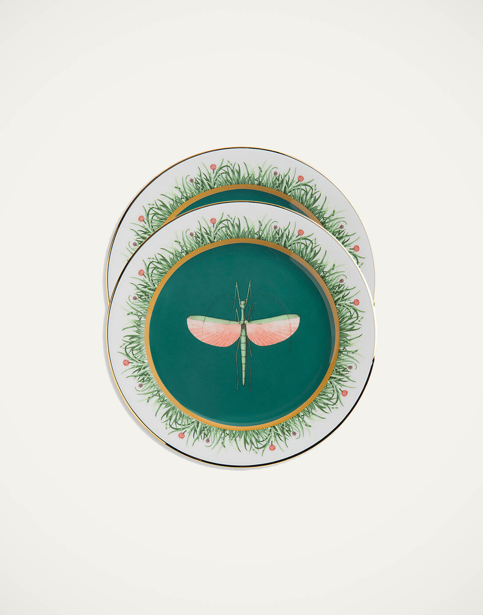 Dinner Plates Set Of 2 in Libellula - Homeware | La DoubleJ US
